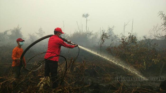 Ada korupsi di balik kabut asap Indonesia riauone.com | Berita ... Ada korupsi di balik kabut asap Indonesia riauone.com | Berita ...