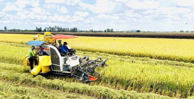 The Vietnam's rice industry - a journey of sustainable development ...